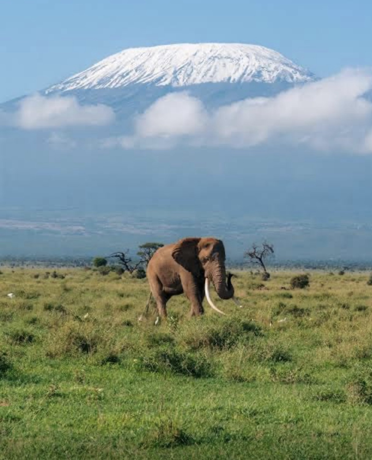 Craig….. – srj641